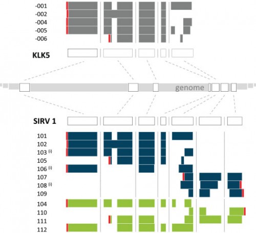 Design | Spike-In RNA Variant Control Mixes | Lexogen