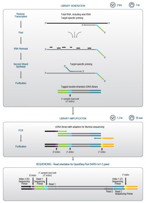 SARS-CoV-2 Test for Ultra-high-throughput Testing | Lexogen