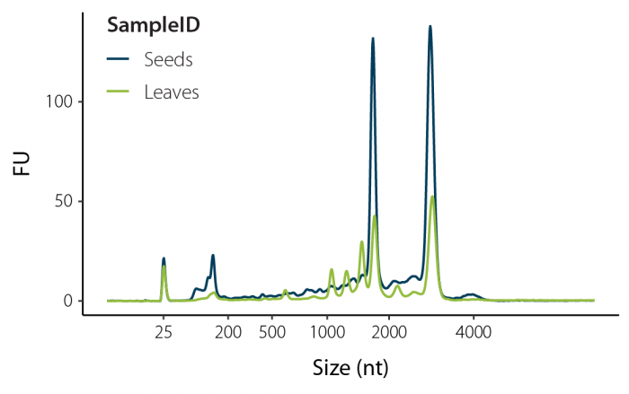 Plant RNA Extraction: Challenges, Methods, and Tips to Improve