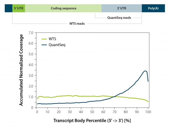 Whole Transcriptome vs 3’ mRNA-Seq: How to Choose the Right Method